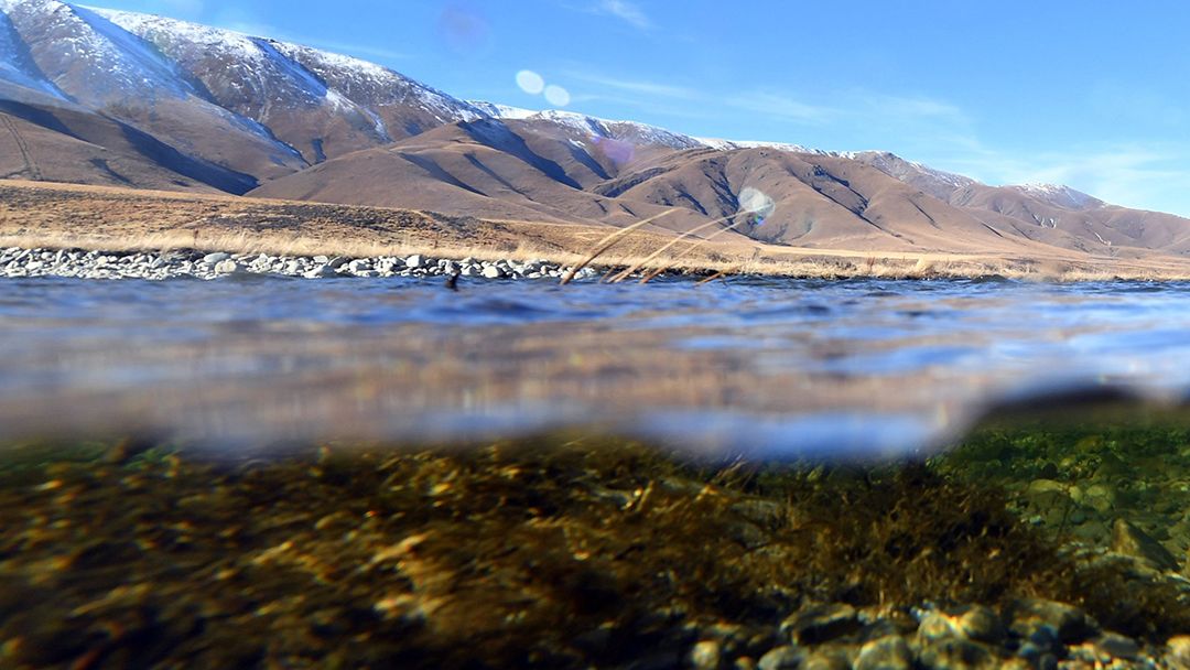 The river's turn: Restoring the Manuherikia